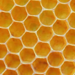 Danielle Christy - Cycle Coach